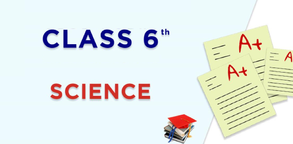 Science Quiz For Class 6 With Answers ProProfs Quiz